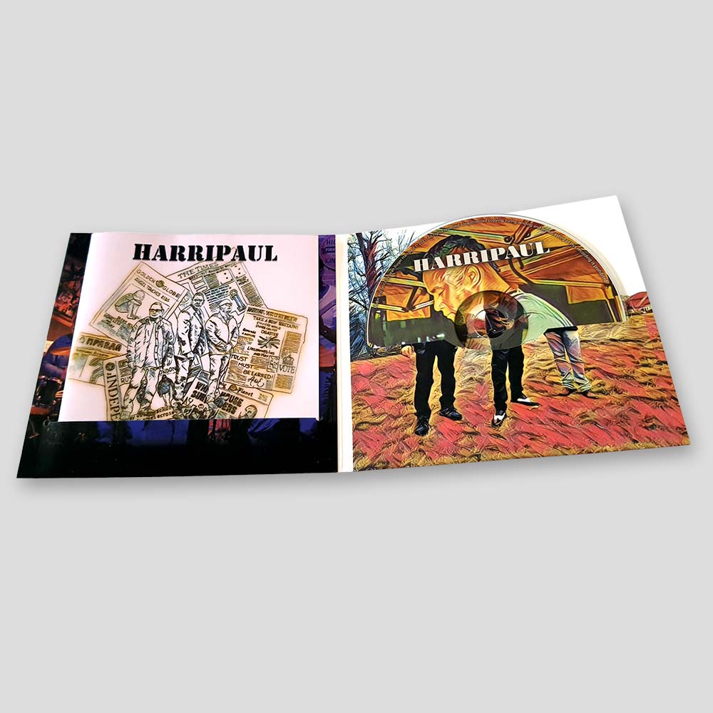 4 Panel CD Wallet, Short run CD wallet printing UK | Rush Media Print